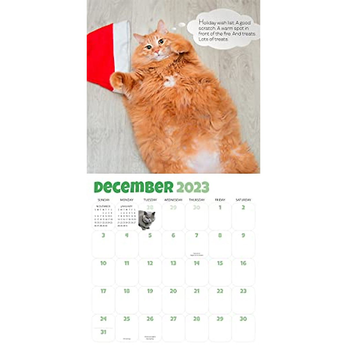 Chonkers Wall Calendar 2023: Irresistible Photos of Snozzy, Chonky Floofers Paired with Relaxation-Themed Quotes