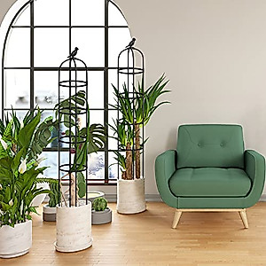 Garden Trellis for Climbing Plants Rustproof Coated Metal 6ft Tall Plant Support Trellis for Indoor & Outdoor Plants, Climbing Plant, Tomatoes, Vegetables, Fruits, Flowers, Pots, Vines