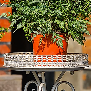 ANGIEHAIE CYOIDAI SMQLJXC 2Pcs 25 Inch Metal Tall Plant Stand,Wrought Iron Plant Stand ,heavy duty pot stand,for Indoor and Outdoor,Patio, Lawn & Garden (White)