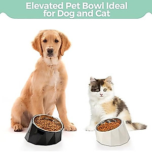 Elevated Dog Bowl for Small Dogs, Tilted Dog Bowl Dog Dish with Detachable Melamine Stand, Dog Food Bowl for French Bulldogs, Puppies, Cats, Non-Skid, Easier to Reach Food
