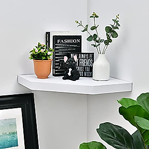 WELLAND Big Size Phoenix Corner Wall Mount Shelf for DVD Players/Cable Boxes/Games Consoles/TV Accessories, White