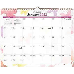 AT-A-GLANCE 2022 Wall Calendar by AT-A-GLANCE, 15" x 12", Medium, Monthly, Watercolors (PM91-707)