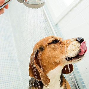 Merrick Fresh Kisses Oral Care Chews Dental Dog Treats with Coconut - Small Snacks for Pups 15-25 Lbs (9 Count) - Plus Rope Toy and Fun Animal Facts Booklet Bundle