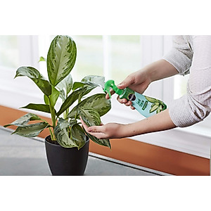 Miracle-Gro Leaf Shine, 8 oz., 2-Pack