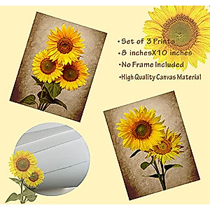 Barri Design Sunflower Decor Wall Art Prints Set of 3(8" x 10" Sunflowers Canvas Wall Art Sunflower Wall Pictures for Bedroom Kitchen Living Room Wall Decorations (Unframed)