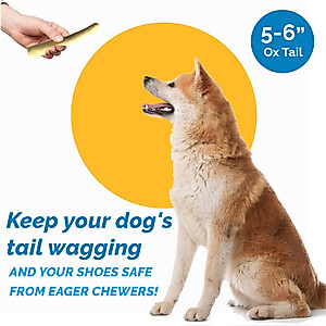 123 Treats - Ox Tail for Dogs 5-6" - (25 Count) | 100% Natural Dog Chews from Free Range Grass Fed Beef Bull Tail