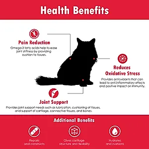 Joint MAX Liquid for Cats - Vitamins, Minerals, Antioxidants - Glucosamine, Chondroitin - Supports Joints and Cartilage Health, Chicken Flavor - Veterinarian Formulated - 8 fl oz