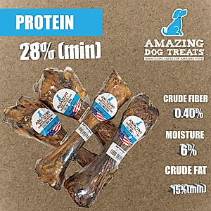 10-11 Inch Meaty Beef Femur Bone (Single Count) - (Made in USA) - Premium American Grade Grass Fed Cattle Bones for Dogs- Beef Femur Shin Bone Dog Chews