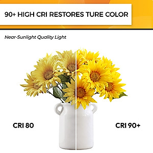 Hizashi 90+CRI Candelabra LED Light Bulbs 60 Watt, 2700K Soft White, E12 LED Bulb Dimmable, B11 Chandelier Light Bulbs, 6W, 550LM, Candle Light Bulbs, UL Listed, 12 Pack