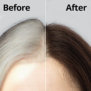 Daeng Gi Meo Ri Medicinal Herb Hair Color to cover gray hair (Natural Brown) (3 PACK)