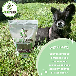 Nature Gnaws Beef Chew Sticks for Dogs 1LB - Premium Natural Dog Treats - Limited Ingredient Long Lasting Rawhide Free Dental Chews