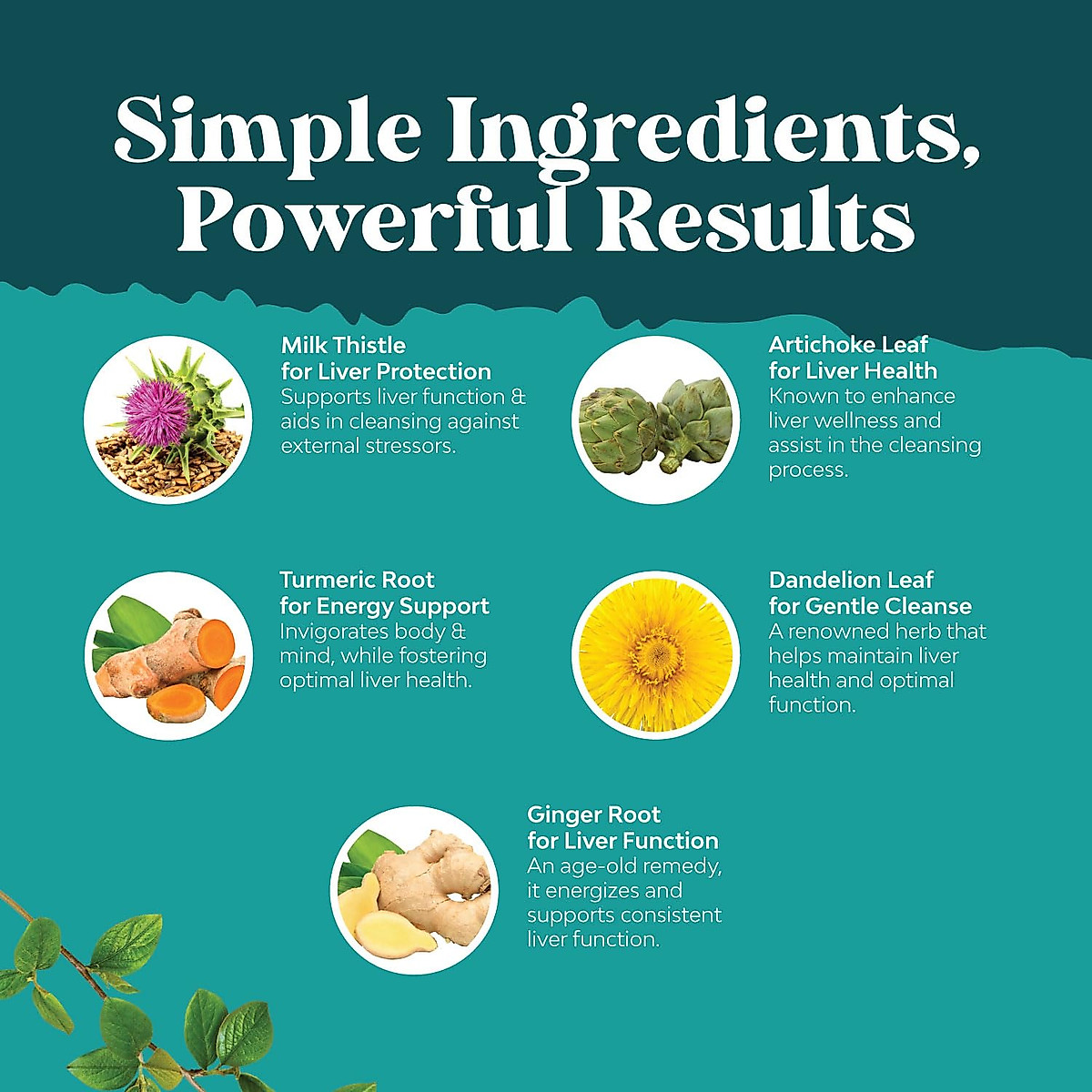 Liver Support Milk Thistle Tincture - Liquid Herbal Supplement with Artichoke Extract for Liver Cleanse Detox & Repair - Liver Detox Cleanse Drops with Dandelion Turmeric and Ginger