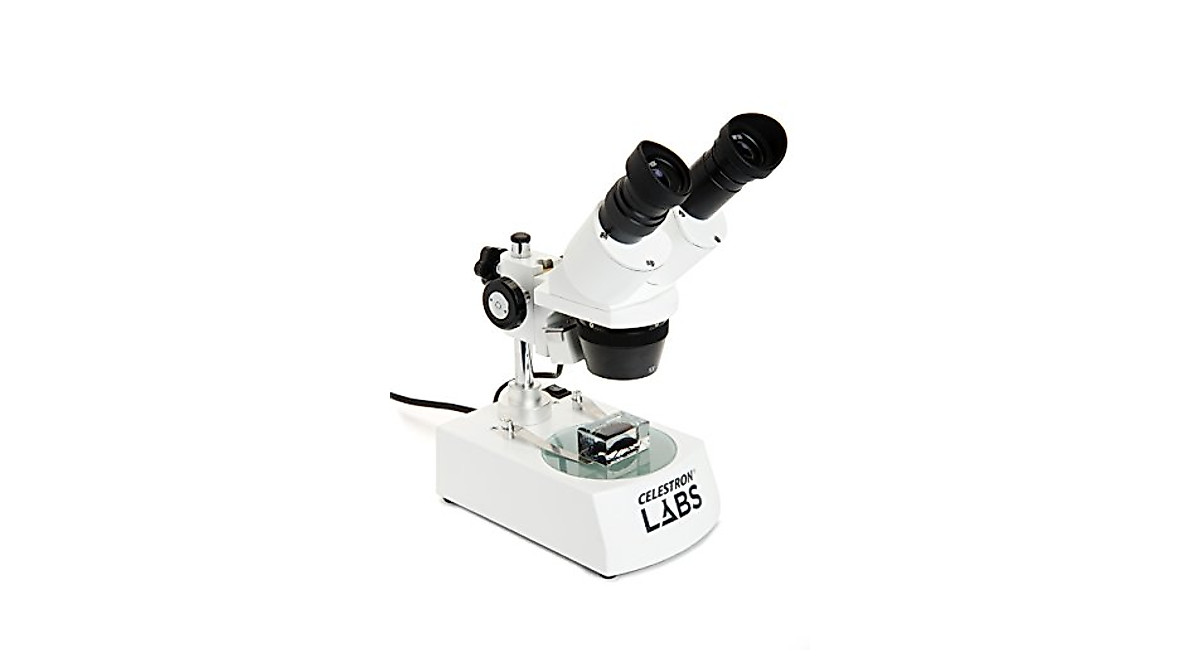 Celestron Stereo Microscope with 10-60x Magnification & Dual LED Lighting