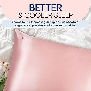 Blissy Silk Pillowcase - 100% Pure Mulberry Silk - 22 Momme 6A High-Grade Fibers - Silk Pillow Cover for Hair & Skin - Regular, Queen & King with Hidden Zipper (Standard, Pink)