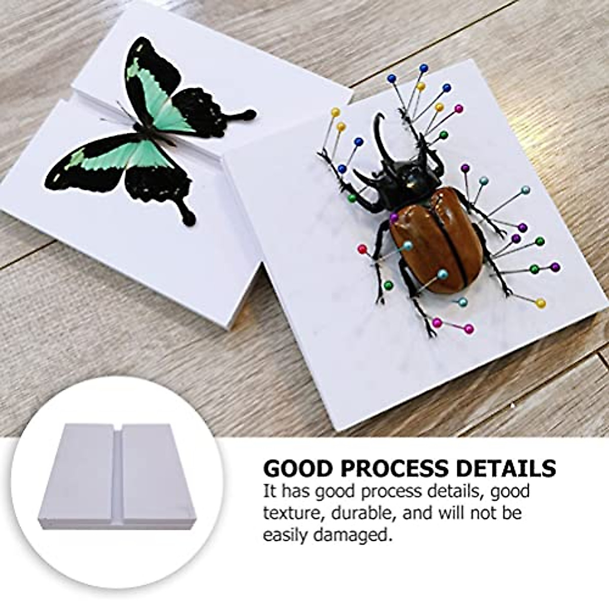 iplusmile Insect Display Box, Bug Display Board Insect Pinning Board Butterfly Mounting Spreading Board Specimen Spreading Board for Science Education