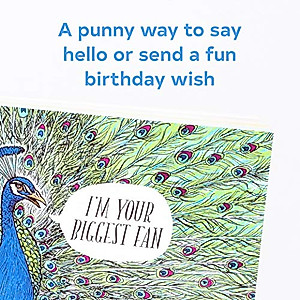 Have a Little Pun: 30 Postcards: (Illustrated Postcards, Book of Witty Postcards, Cute Postcards)