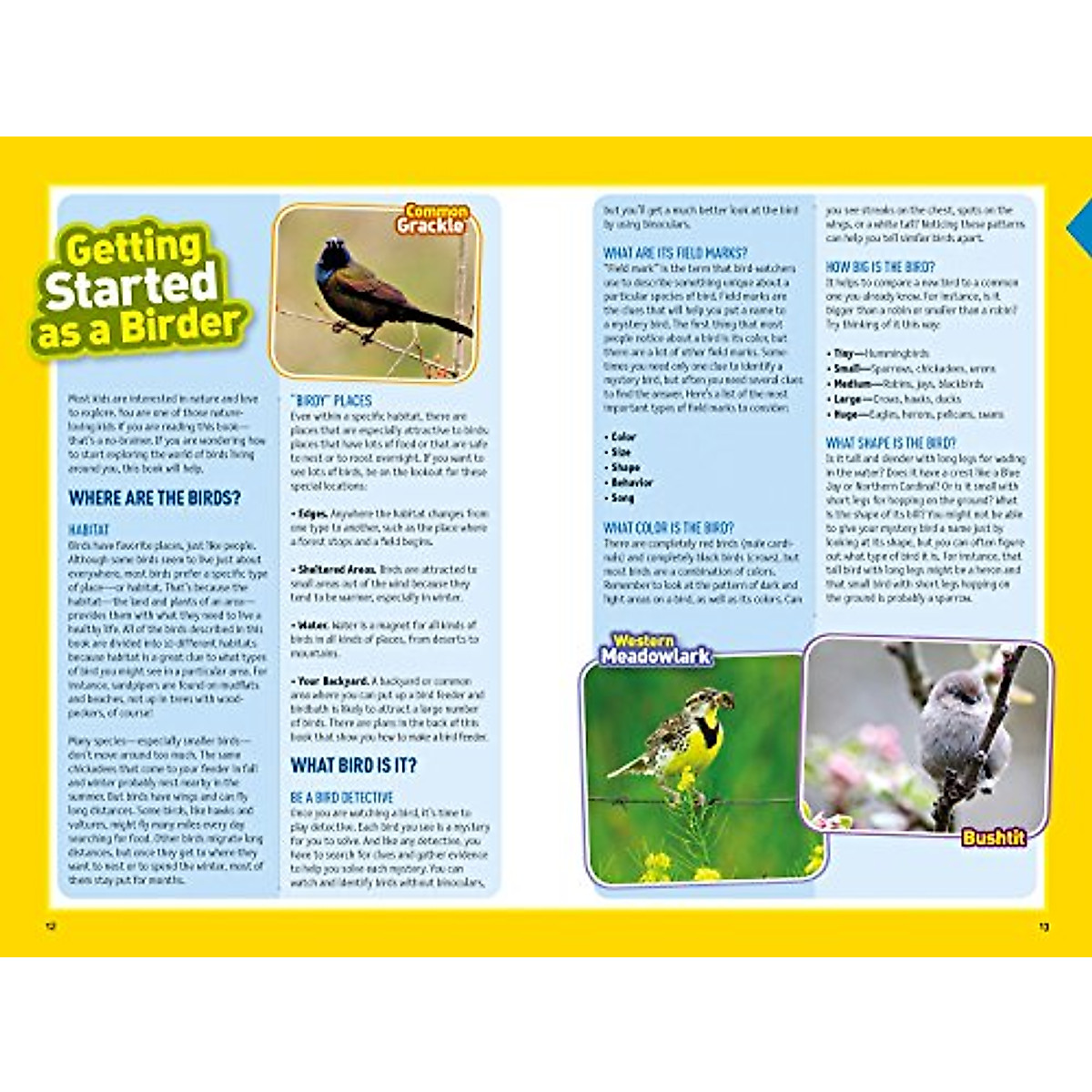National Geographic Kids Bird Guide of North America, Second Edition