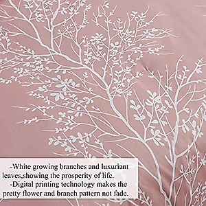 ZRNBAST Bed in a Bag Blush Comforter Set 5 Piece Full Size Flowers Botanical Pattern Bedding Set for Girls Women Teens Super Soft Microfiber Quilt Set (Blush, Full)