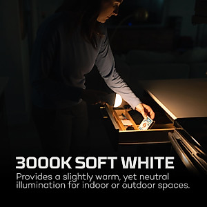 NEBO Blackout Backup LED Emergency Bulb for Emergencies, Rechargeable Bulb Fits into Most Light Fixtures Providing Up to 12 Hours of Light, One White Bulb Included