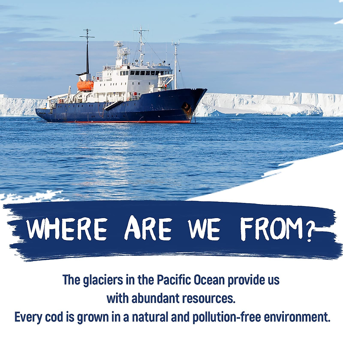 PAWUP Dog Treats, Cod Skins Dog Treat with Taurine, One-Ingredient Grain-Free Chew Fish Skin Rolls Rich in Omega3, 8 oz