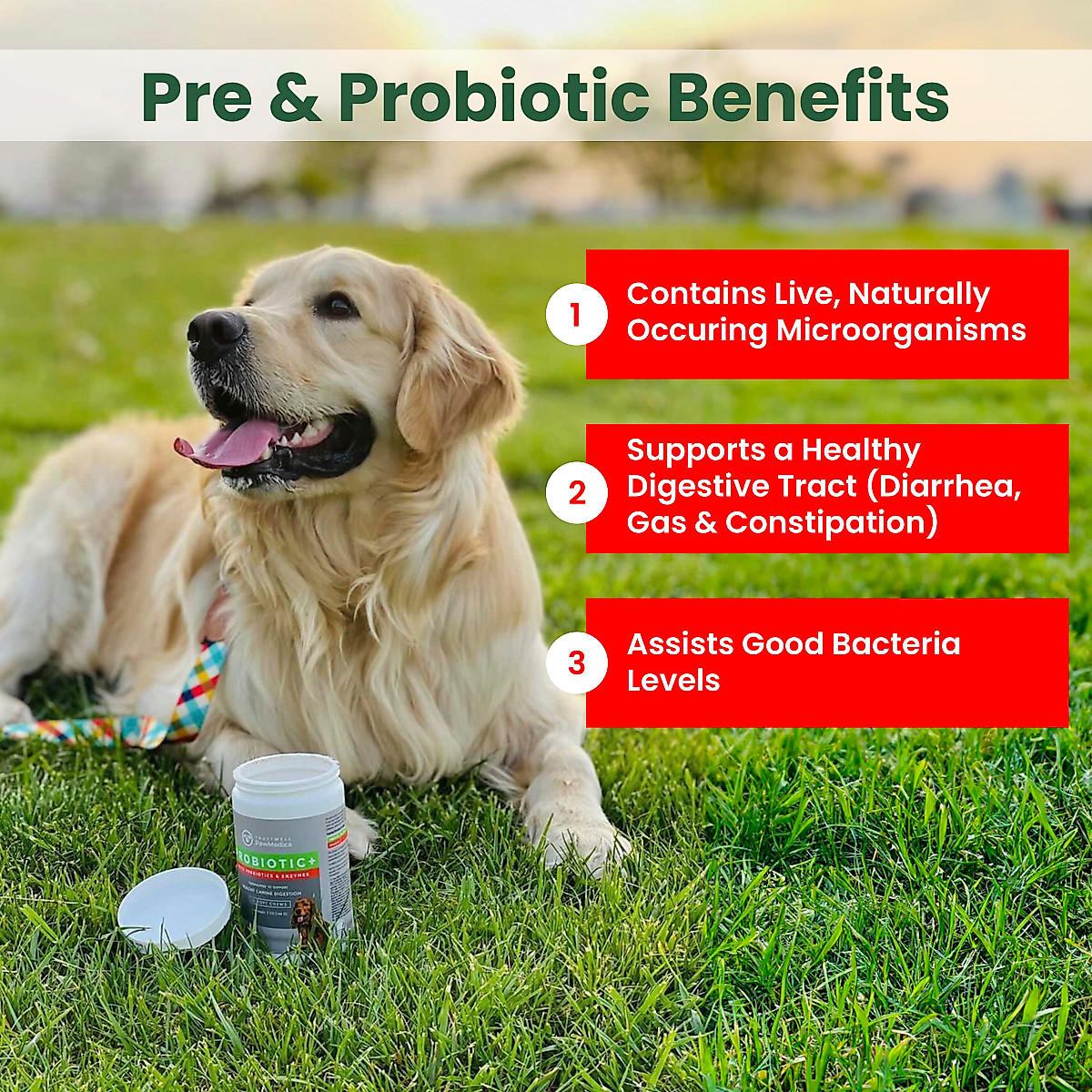 PawMedica Dog Probiotics and Digestive Enzymes, Probiotics for Dogs Made in USA, Pet Probiotic Chews for Dogs, Prebiotics & Probiotic Dog Digestive Support, Probiotic Treats - 120 Dog Probiotic Chews