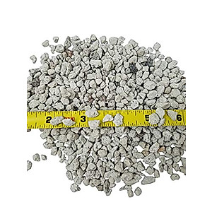 Bonsai, Cactus & Succulent Pumice - Professional Sifted and Ready to Use American … (2.5 Dry Quart)
