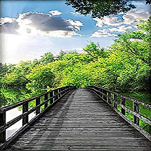 NARBOR Soft Fleece Throw Blanket - Fluffy Microfiber Solid Blankets for Bed and Couch Double/Single Size - 59X79Inch Wooden Bridge Trees Landscape Printed Flannel Blanket for Bed, Couch and Sofa