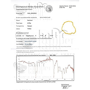 Raw Amber Necklace for Adults - Lemon Color - 17.7 Inches - Baltic Amber Land - Hand-made From Unpolished / Certified Baltic Amber Beads - Knotted - Screw Clasp (Lemon)