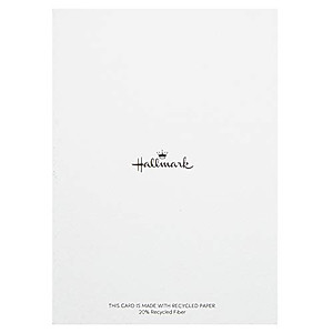 Hallmark Boxed Christmas Cards Assortment, Peace Hope Joy (48 Cards with Envelopes) (1XPX5176)