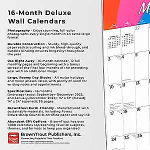 Big & Bright Large Print | 2024 14 x 24 Inch Monthly Deluxe Wall Calendar | Matte Paper | BrownTrout | Easy to See Large Font