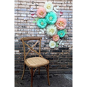 Fonder Mols Paper Flowers Decorations Tissue Pom Poms Blooms for Wall Decorations, Wedding Backdrop, Archway, Baby Shower, Nursery Wall Decor (Set of 21, Ivory Peach Mint)