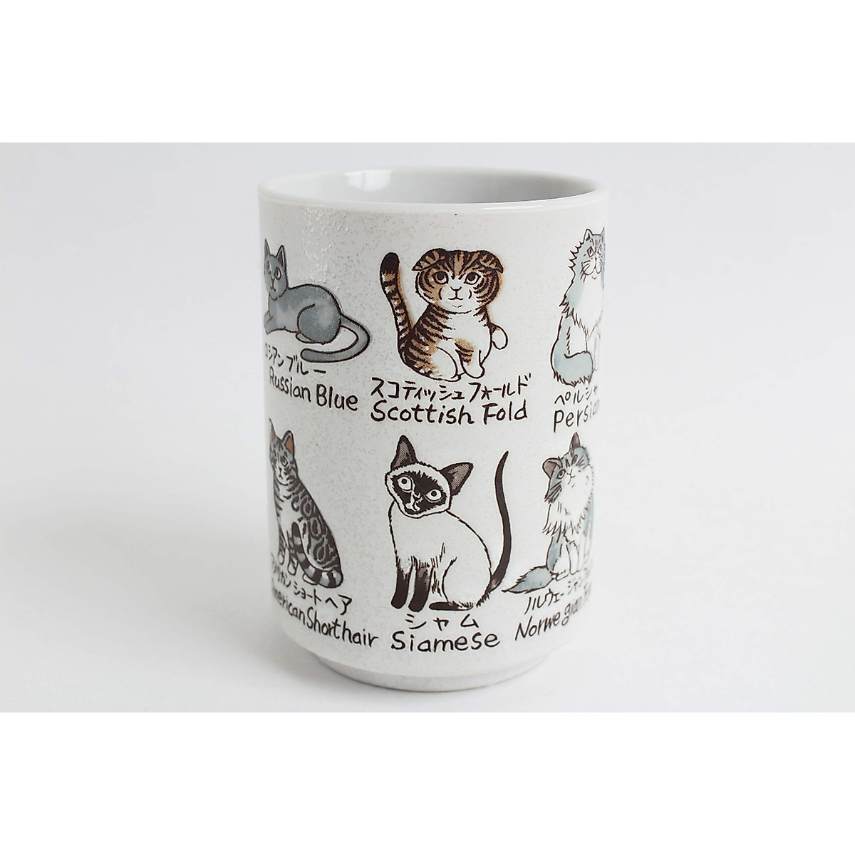 Mino ware Japanese Ceramics Sushi Yunomi Chawan Tea Cup Various Cats made in Japan (Japan Import) YAY050
