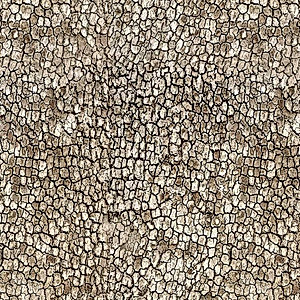 Shades of Light Brown, Natural, Bark Fabric, Naturescapes, Northcott, 21402-34, by The Yard
