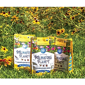 BUZZY Wildflower Pollinator Seed Mix (1lb Bag), 18 Pollinator-Friendly Varieties, Protect The Pollinators & Save The Planet, Coneflower, Sunflower, Calendula, Cosmos, & More, Growth Guaranteed