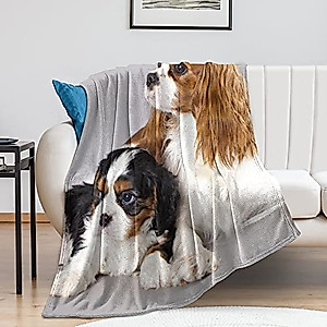 Cavalier King Charles Spaniel, Fleece Blanket Ultra-Soft Cozy Plush Blanket Throw Blankets Couch Chair Living Room Air Conditioning Cool Blankets, 50"*60"