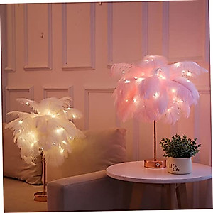 Naisicore Feathers Table Lamps, 18.9inch Ostrich Feather Night Light, USB/Battery Powered Bedside Lamps, Desktop Atmosphere Lights Gift for Mother, Girlfriend Wedding Decoration (Pink)