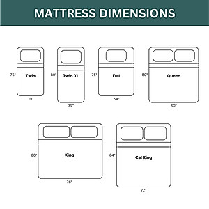restologie Sigma 10 inch Hybrid Mattress/Made in America/Pocket Coils & Memory Foam for Cooling and Comfort/Reinforced Edge Support/Mattress in a Box/Firm Tight Top (Queen (U.S. Standard))