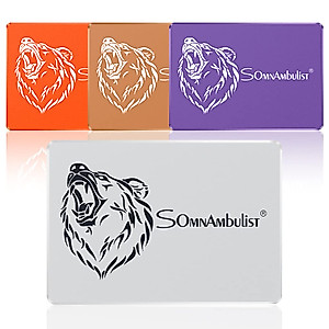 Somnambulist Computer Components ssd Disk sata 3 Built-in Hard Disk Storage Suitable for Personal Computers and laptops 2tb 120gb 960gb 240gb (White Bear 2TB)