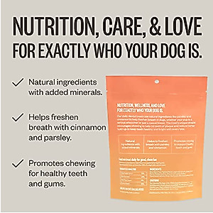 Ollie Dental Chews for Dogs Large- Dog Breath Treats - Dog Teeth Cleaning Treat - Dental Sticks for Dogs - Fresh Breath for Dogs - Dog Dental Chews - Dog Dental Care - 12 Oz.