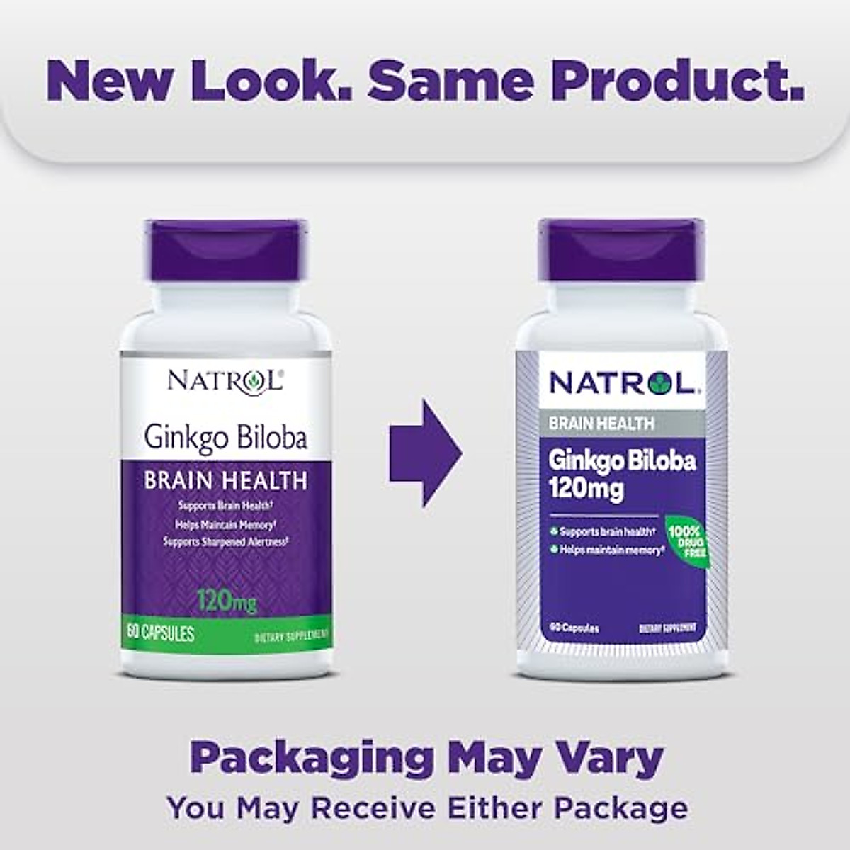 Natrol Brain Health Ginkgo Biloba 120mg, Dietary Supplement for Brain Health and Memory Support, 60 Capsules, 60 Day Supply