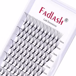 Lash Extension 10D 0.07 Premade Fans Eyelash Extensions D Curl Mix Tray Volume Short Stem (10D-0.07-D, 8-14mm Mix)