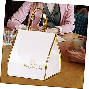 BESTonZON Packing Cold Insulation Portable Plastic Food Pizza Warmer Bags Insulated Plastic Grocery Bags Delivery Warmer Bags Thermal Lunch Bag Insulated Grocery Bags Convenient Cake Bag