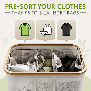 EDELFELD - Laundry Hamper with Lid [150L] - Collapsible Laundry Basket with Lid and 3 Sections - Large Hampers for Laundry with Removable Washing Bags - Freestanding Clothes Hampers for Laundry