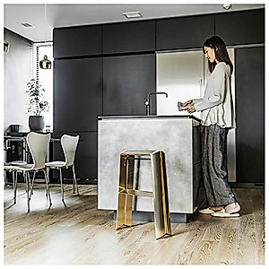 Hasegawa Ladders Lucano Step Stool Premium Edition 2 Step Gold