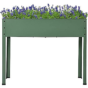 Raised Garden Bed for Vegetables Elevated Planter Box with Legs Outdoor Patio Flower Herb Container Gardening