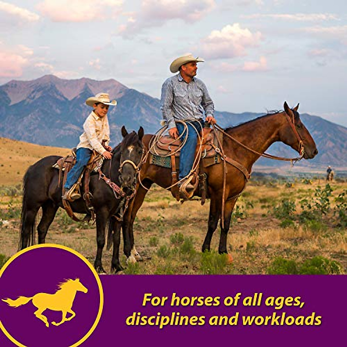 Horse Health Red Cell, Liquid Vitamin-Iron-Mineral Supplement for Horses, Helps Fill Important Nutritional Gaps in Horse's Diet, 1 Qt., 32 Oz., 16-Day Supply