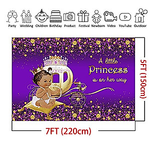 Mocsicka Princess Baby Shower Backdrop Little Princess Girl Baby Shower Party Decorations Backdrops Glitter Purple Baby Shower Carriage Photography Background