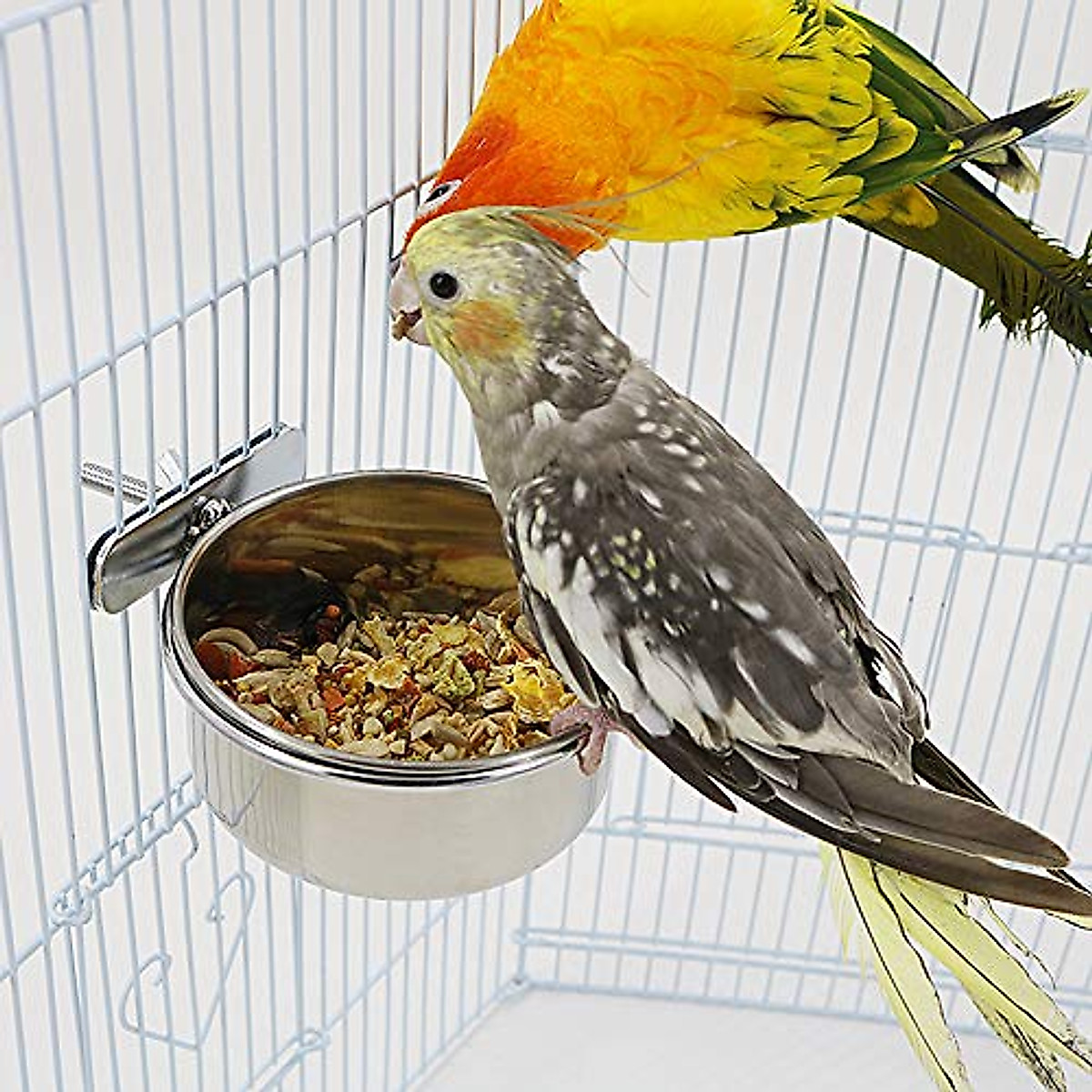 3PCS Bird Feeder for Cage Parakeets Food Feeder with 3 Different Size, Bird Feeding Dish Stainless Steel Bird Bowl Parrot Feeding Cups Animal Cage Water Food Bowl for Parrot