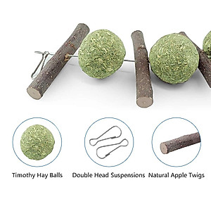 Rabbit Chew Toys,Rabbit Chinchilla Hamster Tooth Chew Toys,Natural Apple Wood Rabbit Supplies Set,Bunny Chew Toys for Teeth for Playing Exercise Teeth Care