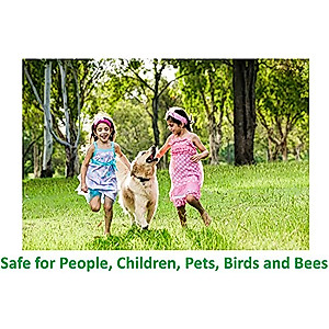 Deepthi Pure Neem Oil for Plants - Concentrated - Cold Pressed - Spray for Indoor Outdoor Garden - 100% Neem Oil - Natural Insecticide – Controls Mildew - 16.9 Fluid Oz (500 ml)